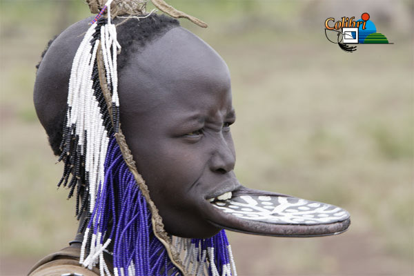 Homemade Tools ( outils faits maison) - TRANSALPAGE