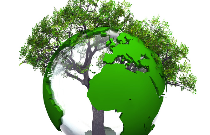 Les autorités appellent à promouvoir les emplois verts pour résorber le ...