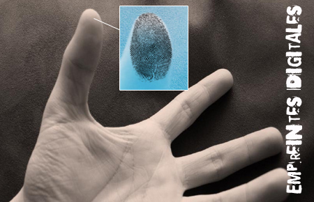 Une technique révolutionnaire pour révéler les empreintes digitales ...