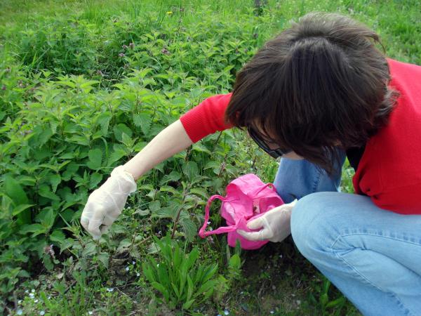 Gynéco : 5 plantes qui font du bien - LeBabi.net Gynéco : 5 plantes qui font du bien - LeBabi.net