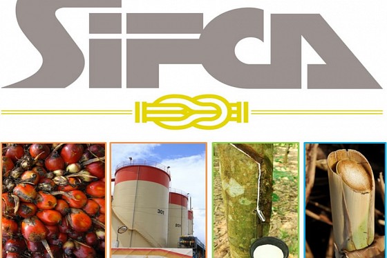 La SIFCA célèbre ses 50 ans | LeBabi.net Abidjan - Côte d'Ivoire